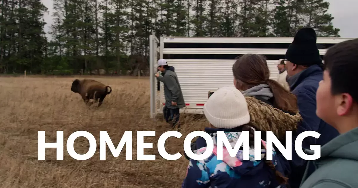 Homecoming | The American Buffalo | Ken Burns | PBS
