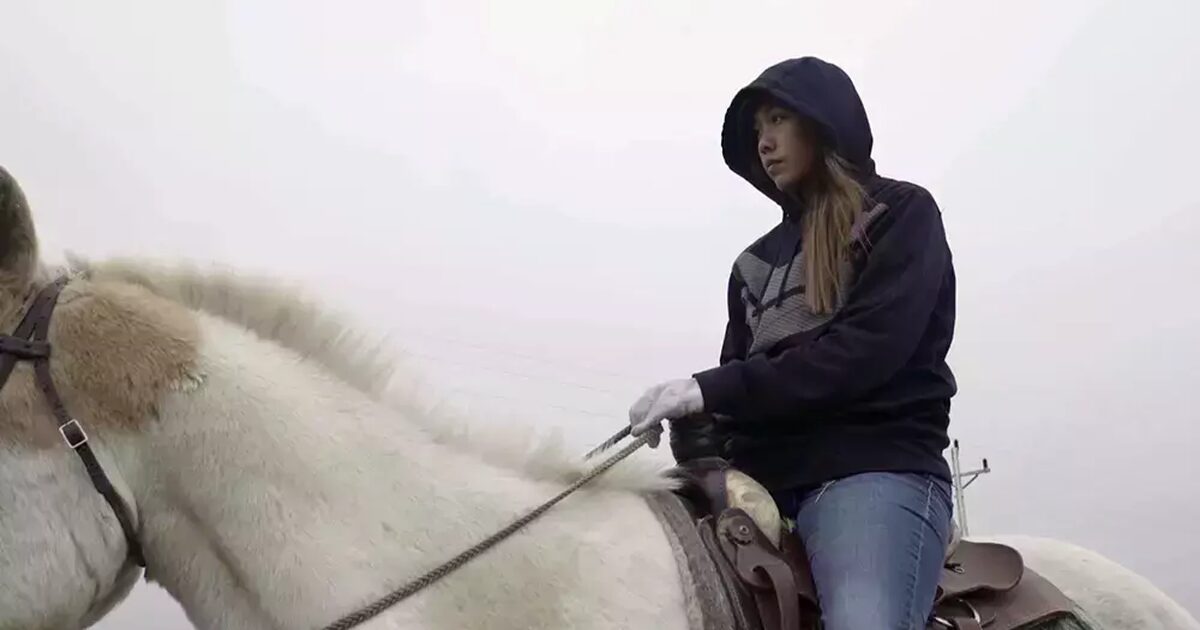 Short Films: Native Narratives & Buffalo Revitalization | The American ...