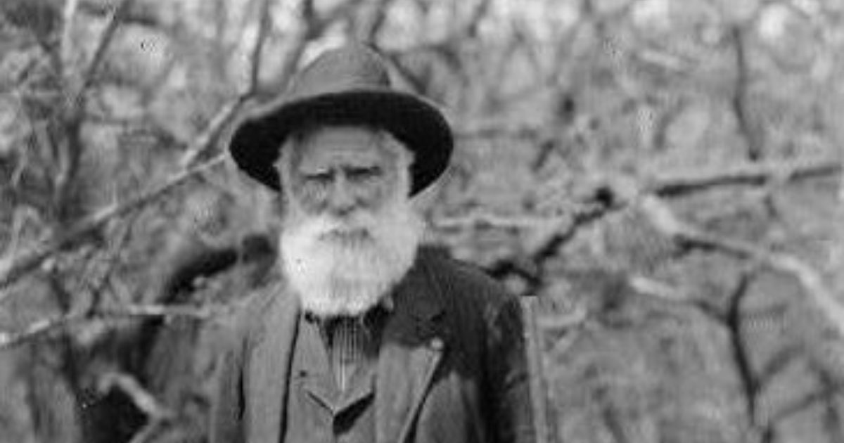 The Homestead Act | The West: A Film by Steven Ives | Ken Burns | PBS