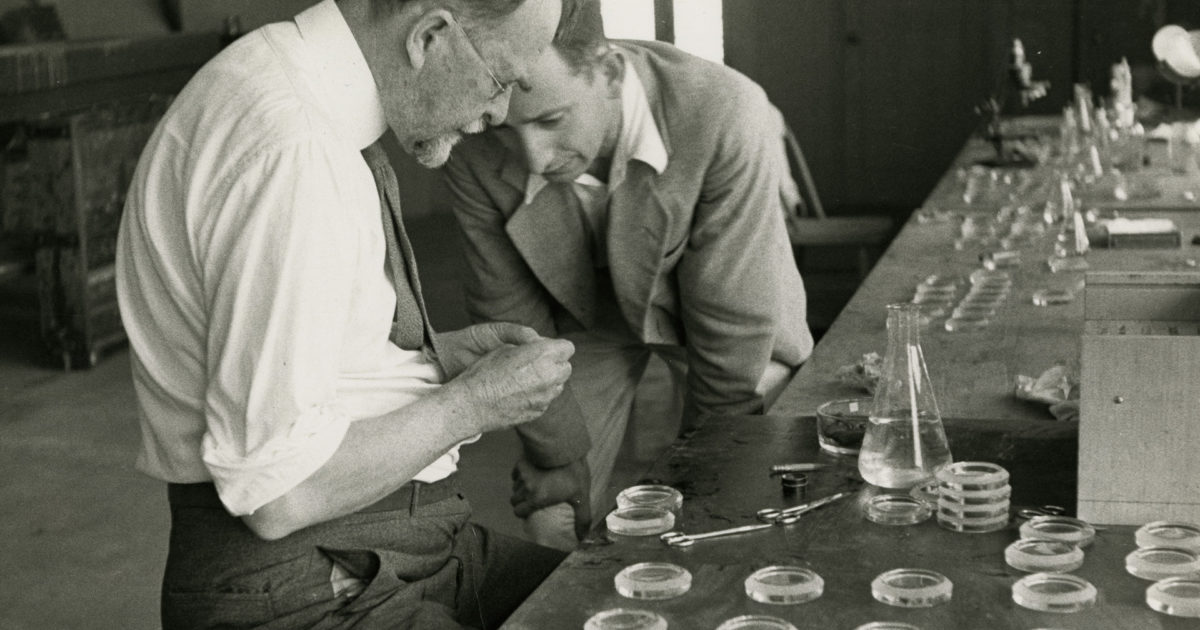 The Gene | Ken Burns | PBS